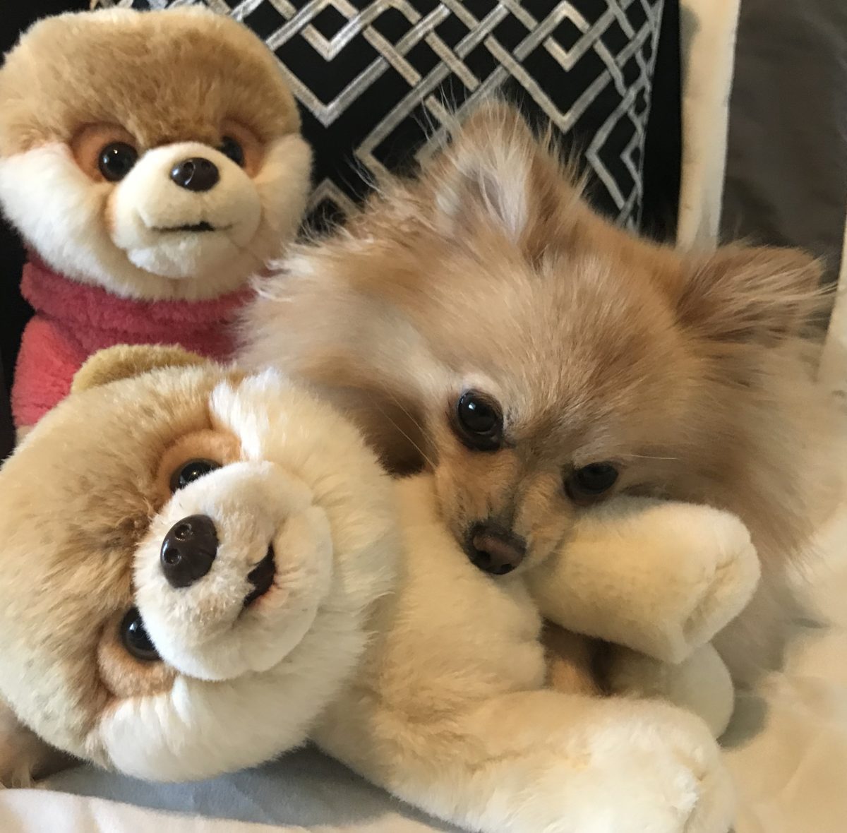 Behind the Scenes – Lisa Pierce Events | Event and Wedding Planner