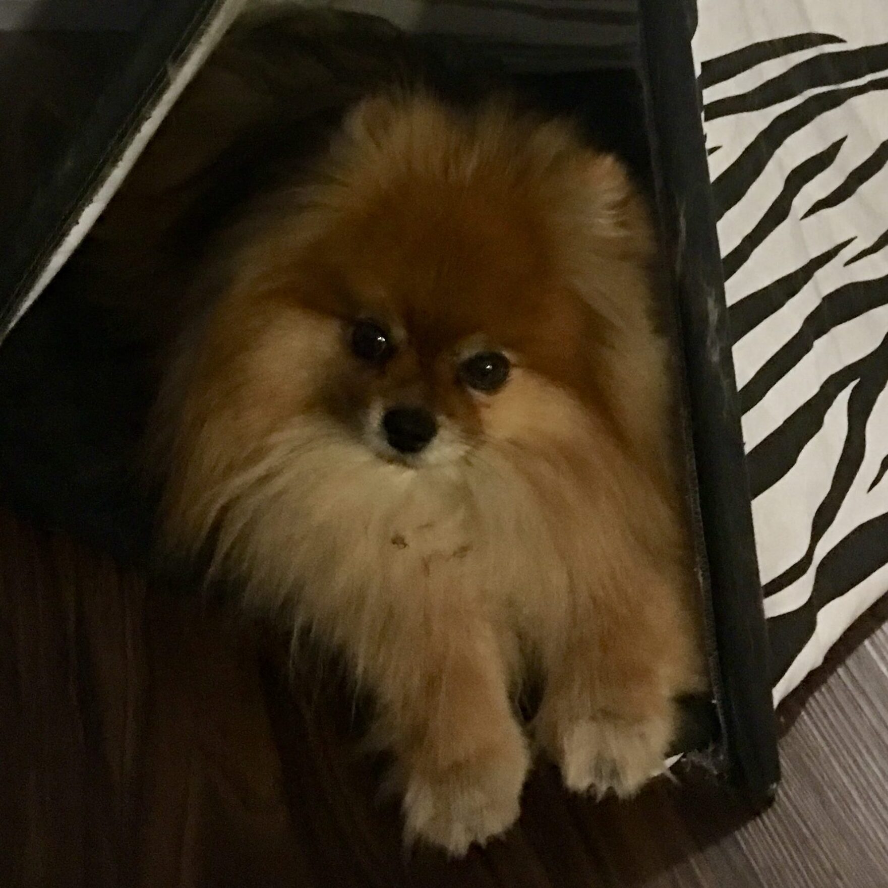 Behind the Scenes – Lisa Pierce Events | Event and Wedding Planner